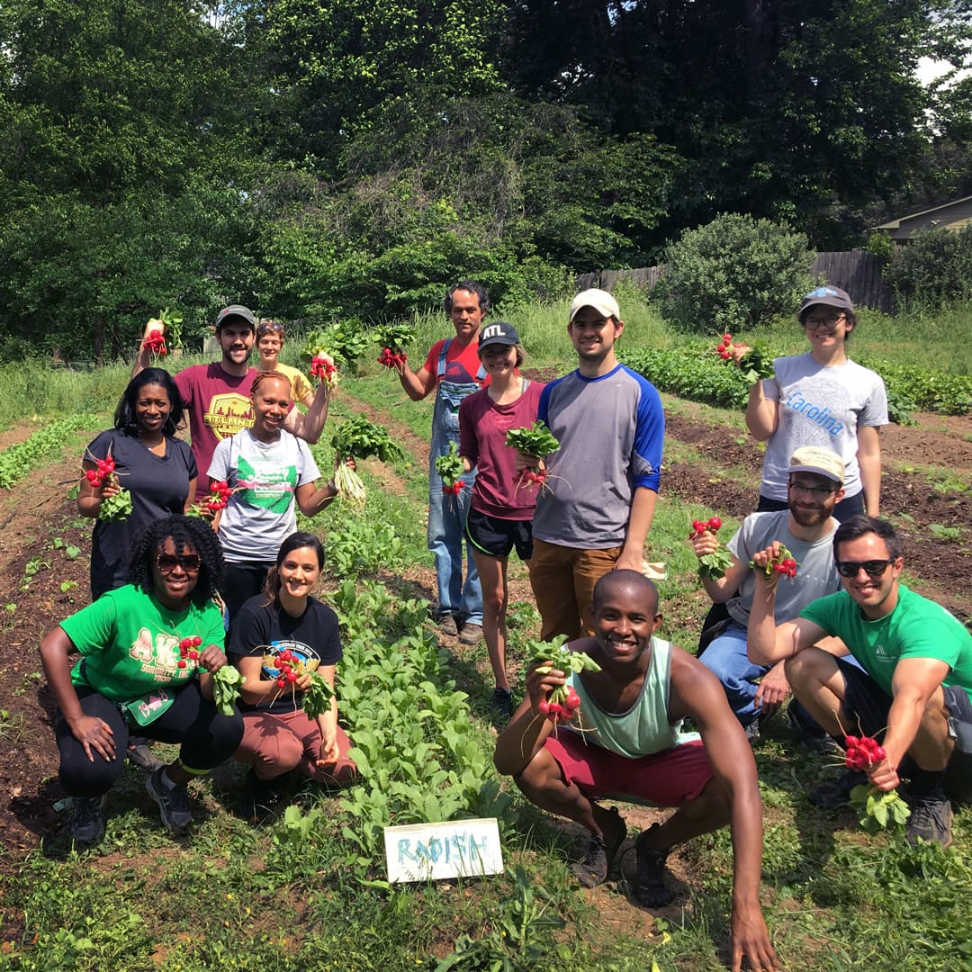 Concrete Jungle | Foraging, farming, and supporting food access across ...